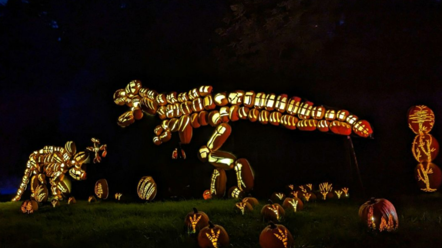 The Great Jack O Lantern Blaze: 20 Years of Halloween Magic in Sleepy ...